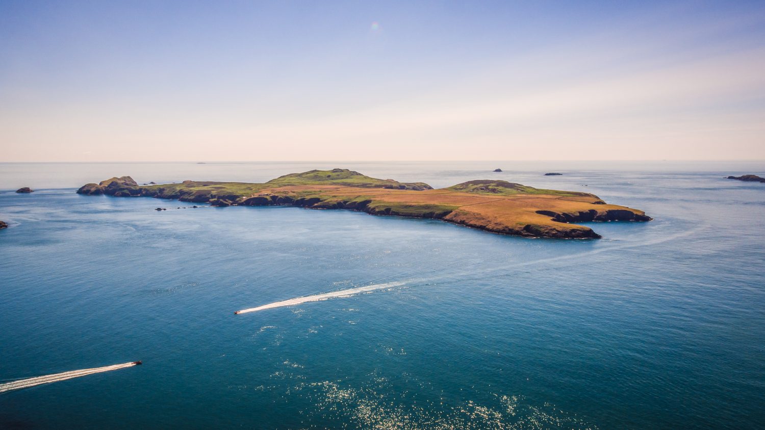 Ramsey Island - Pembrokeshire Coast National Park