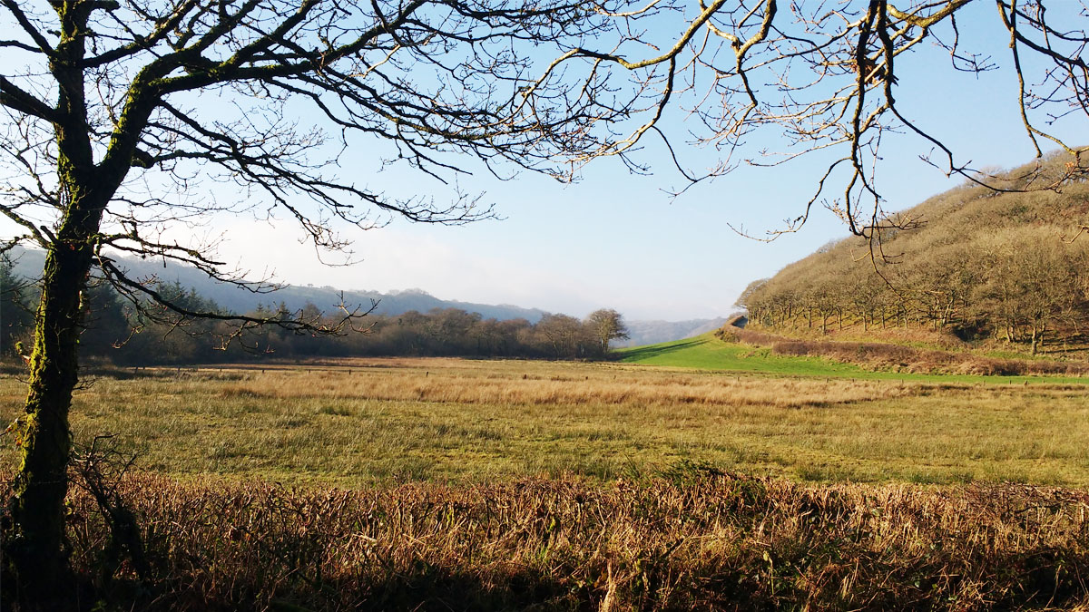 Gelli Fawr - Pembrokeshire Coast National Park