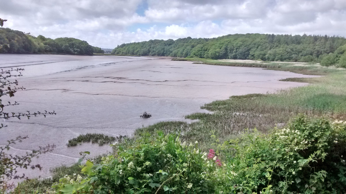 Slebech Park - Pembrokeshire Coast National Park