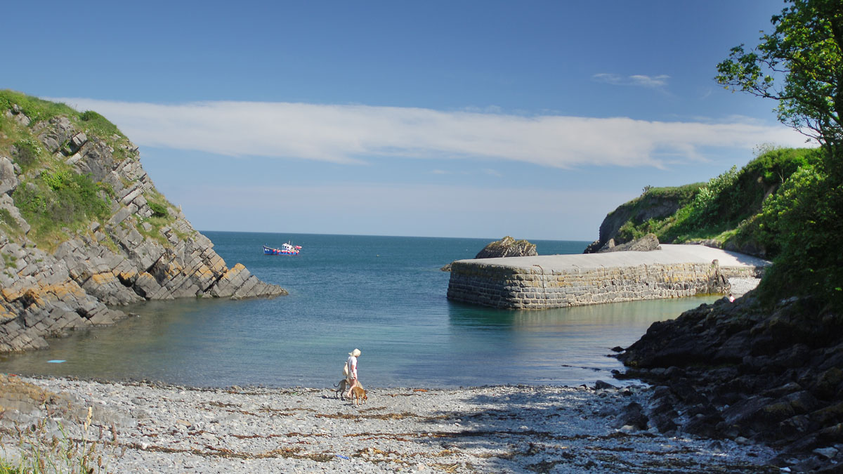 Stackpole Head - Pembrokeshire Coast National Park
