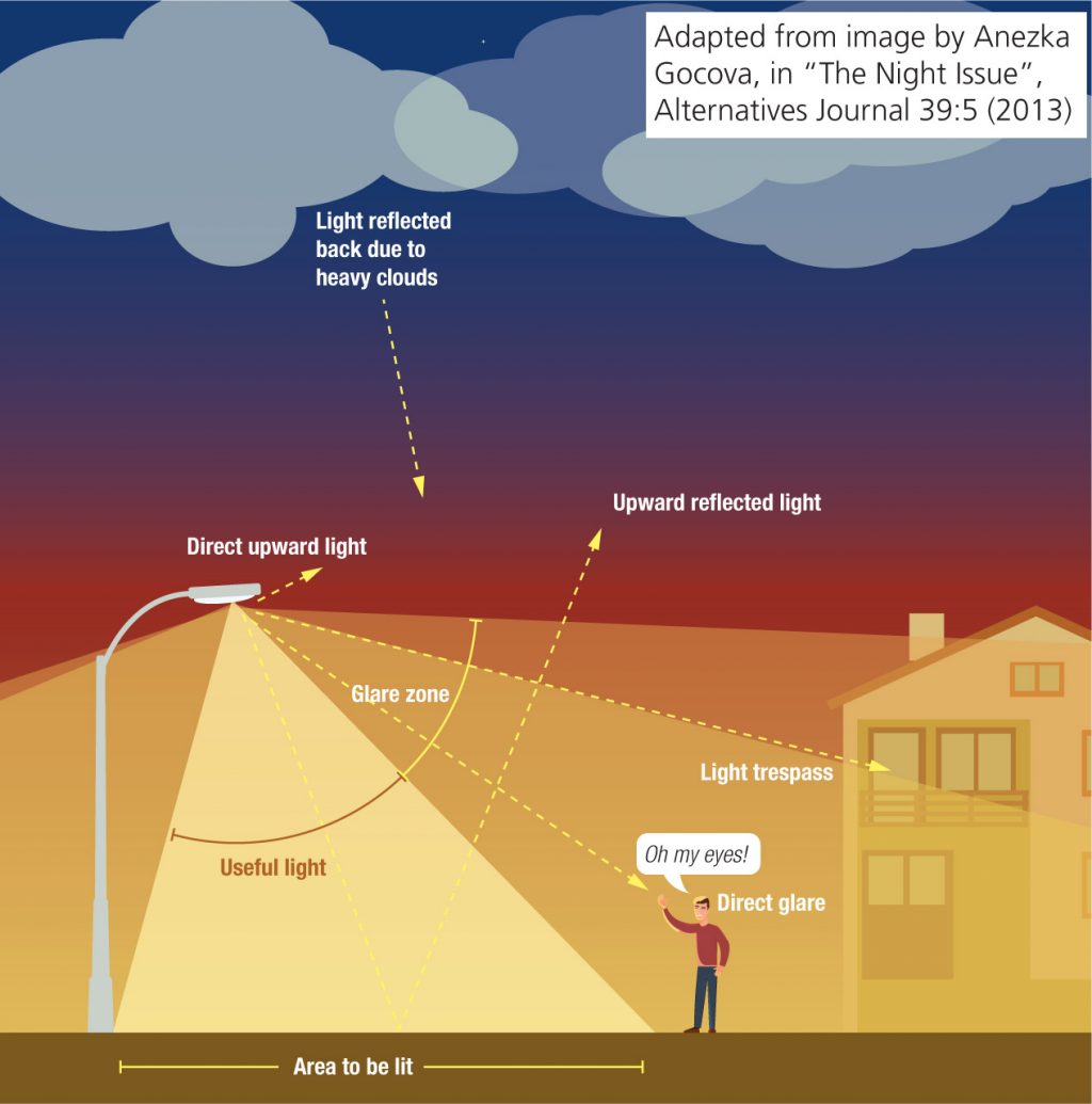 Starry Skies Pembrokeshire - Pembrokeshire Coast National Park