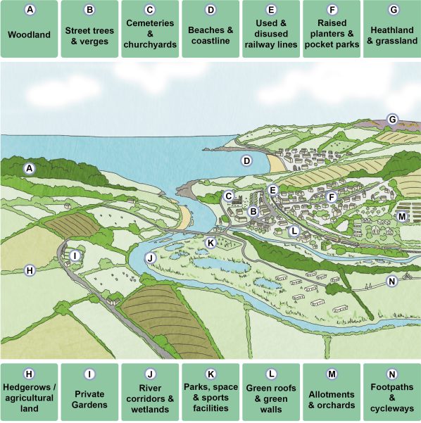Overview of the Green Infrastructure Assessment - Pembrokeshire Coast ...