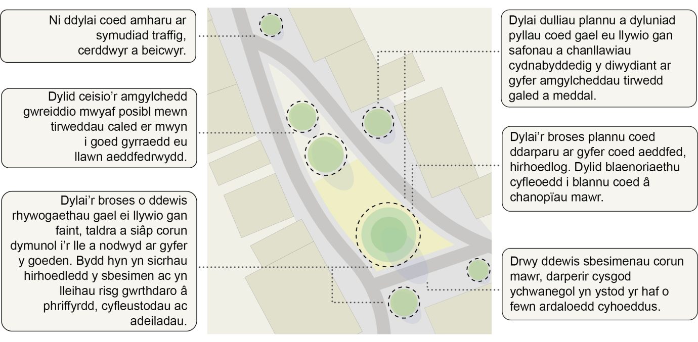 Overarching Principles - Pembrokeshire Coast National Park