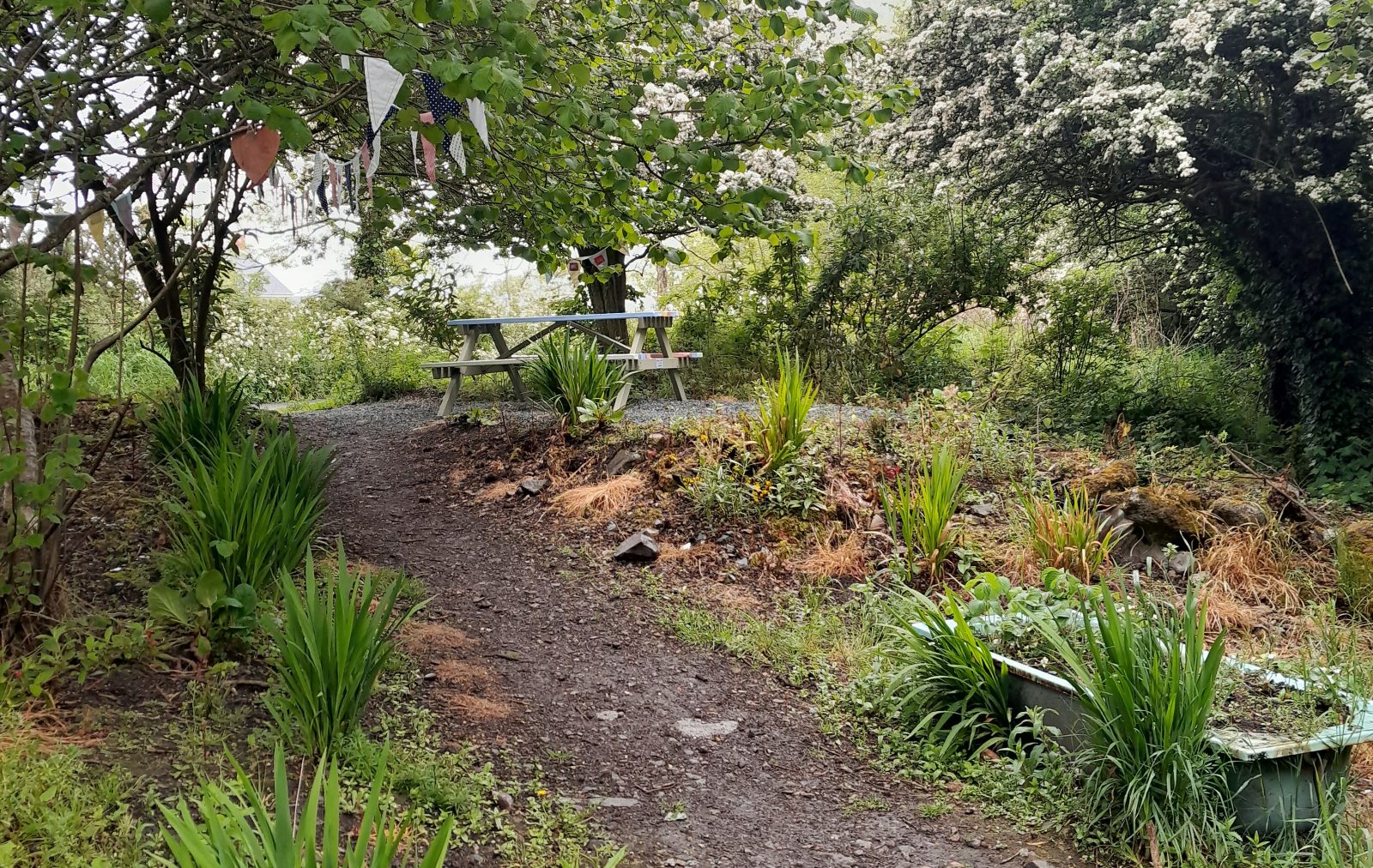 Fishguard and Goodwick - Pembrokeshire Coast National Park