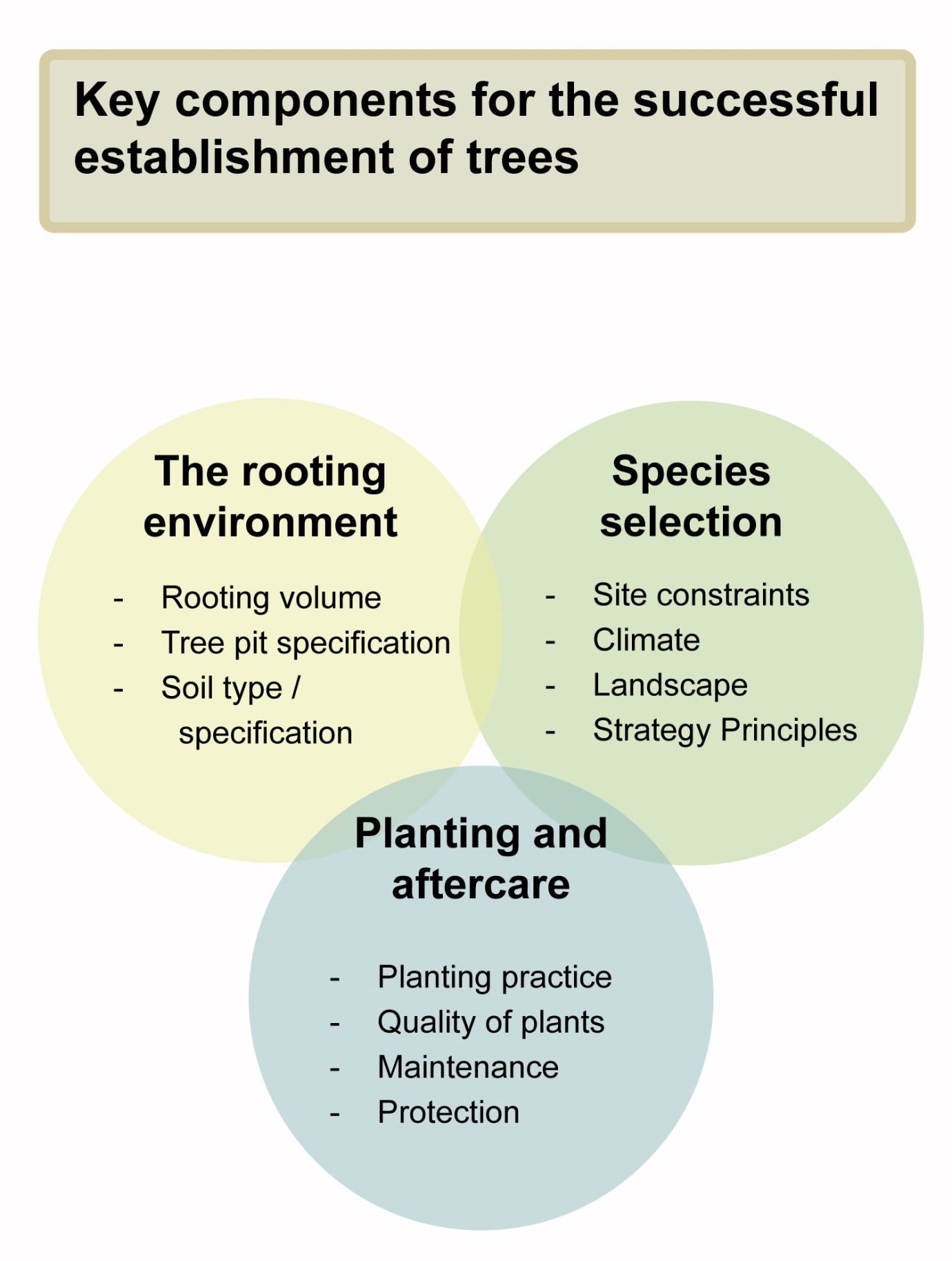 Delivery - Urban Tree Planting Strategies - Pembrokeshire Coast ...