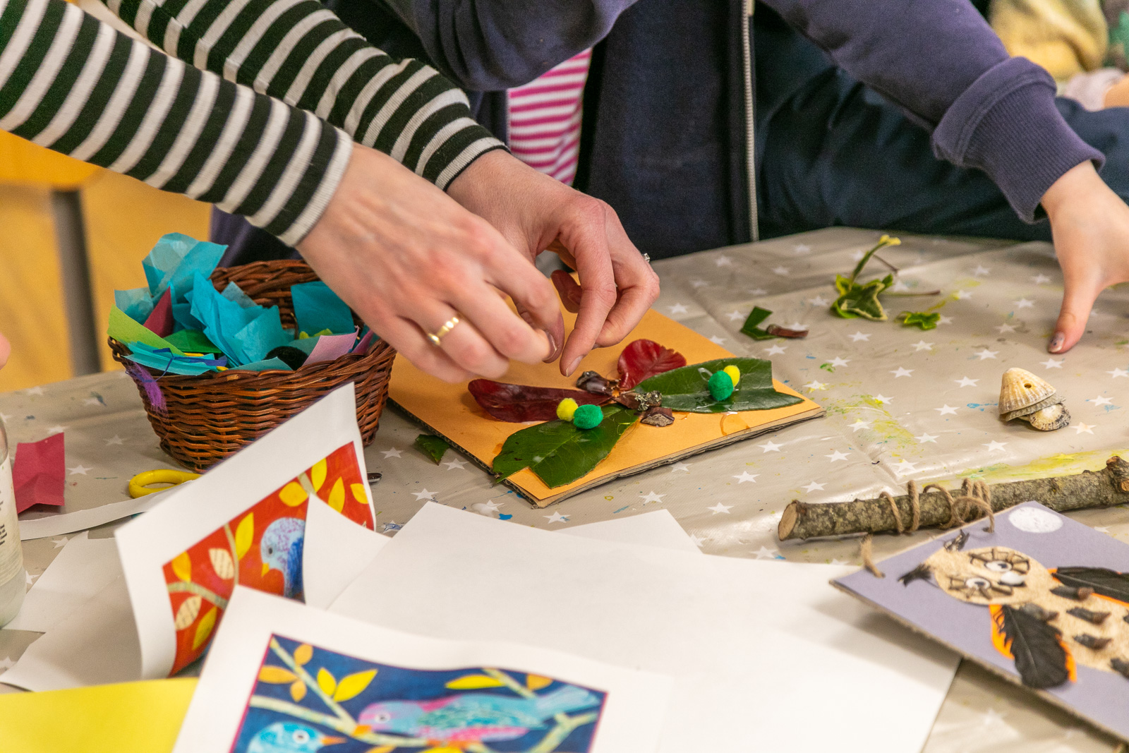 Workshops - Pembrokeshire Coast National Park